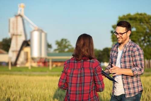 Offshore Wind Energy Transmission | VicGrid