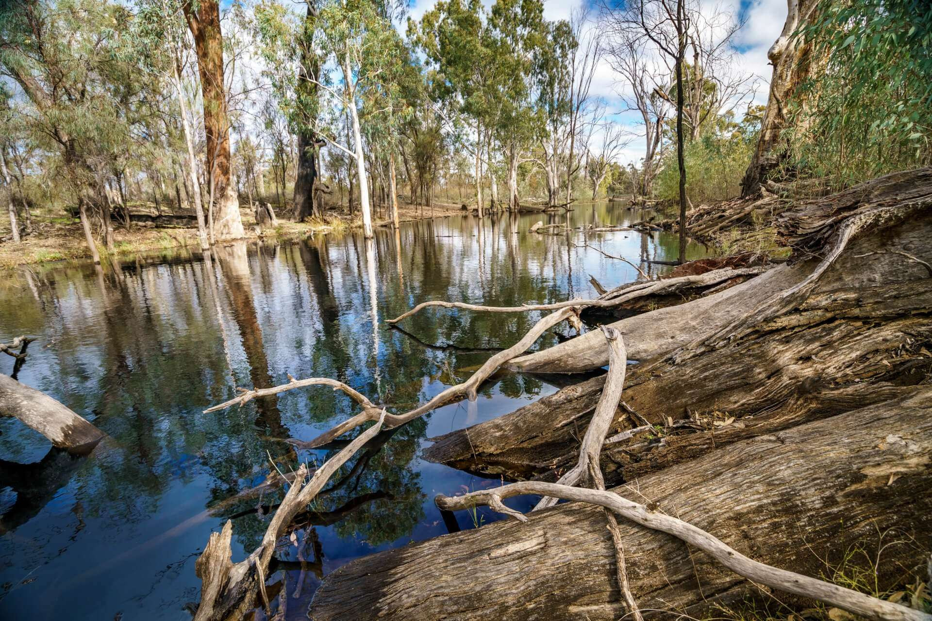 Interactive map | Projects | VMFRP