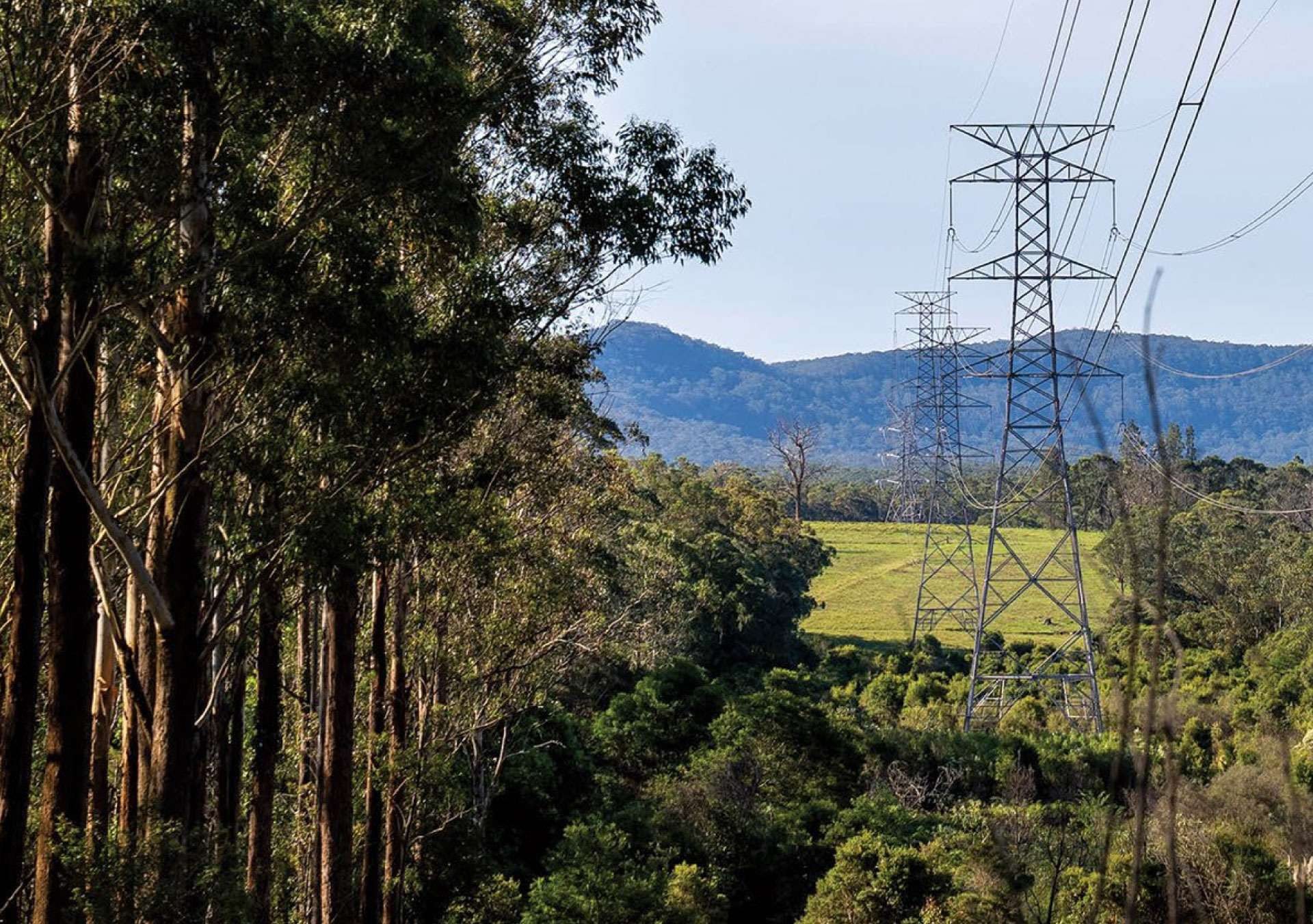 Hunter Transmission Project EIS | Hunter Transmission Project | EnergyCo